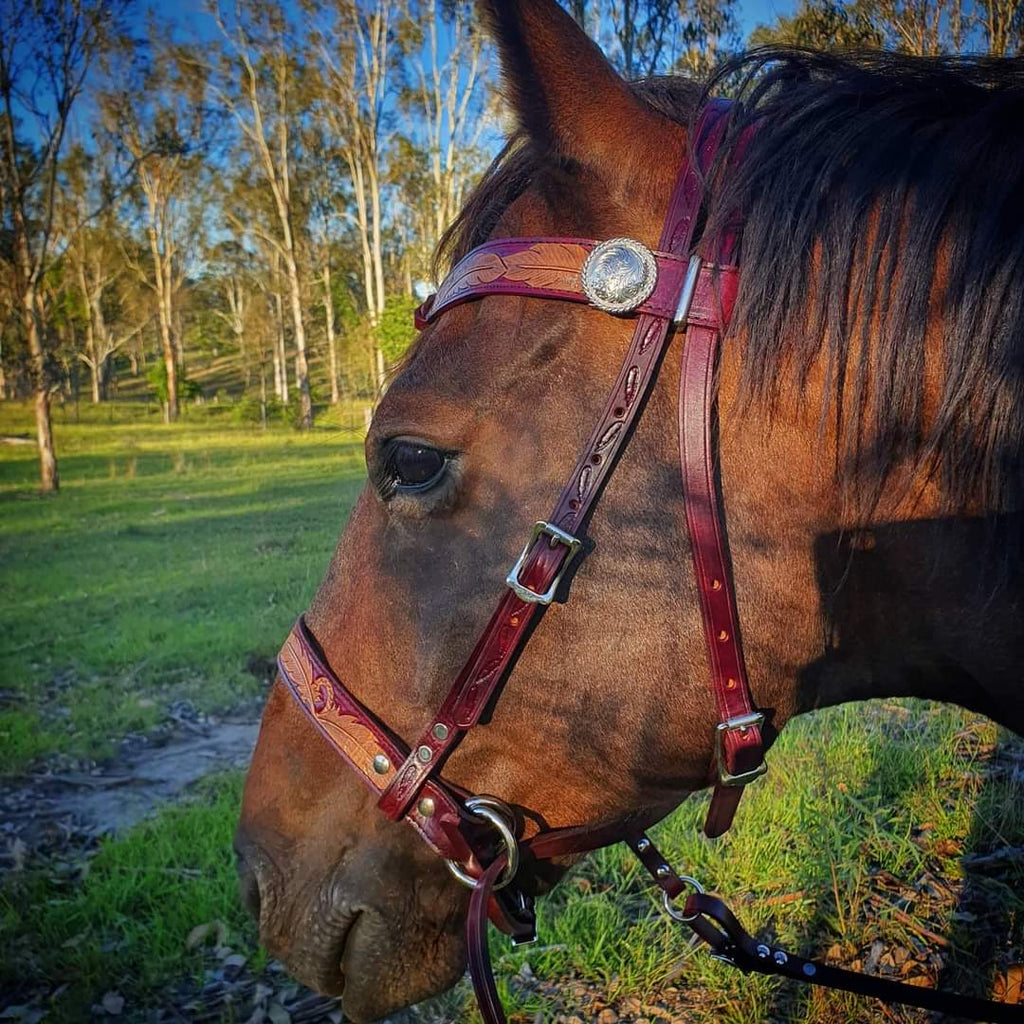 Bitless Bridle – Green Acres Leather