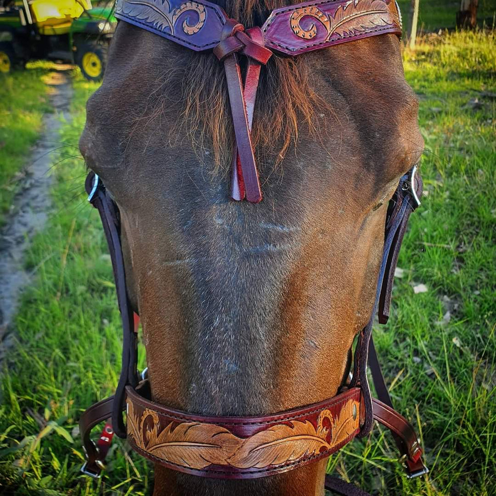 Bitless Bridle – Green Acres Leather